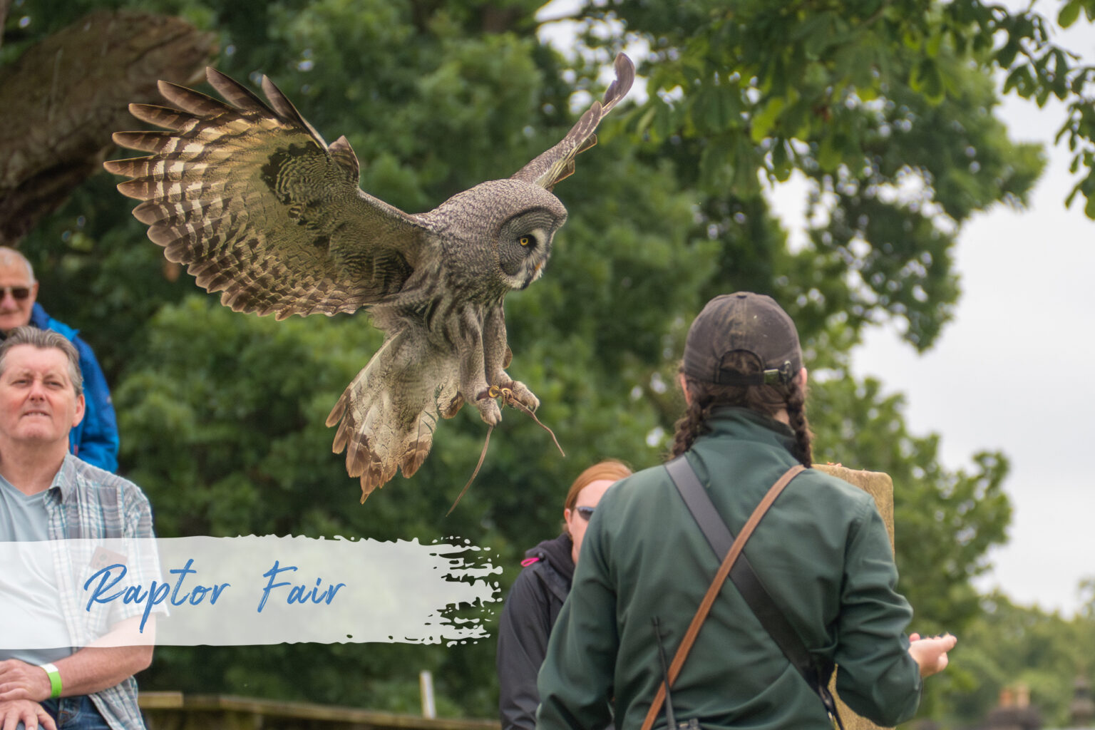 Female Falconers Club – The premier club for UK female falconers